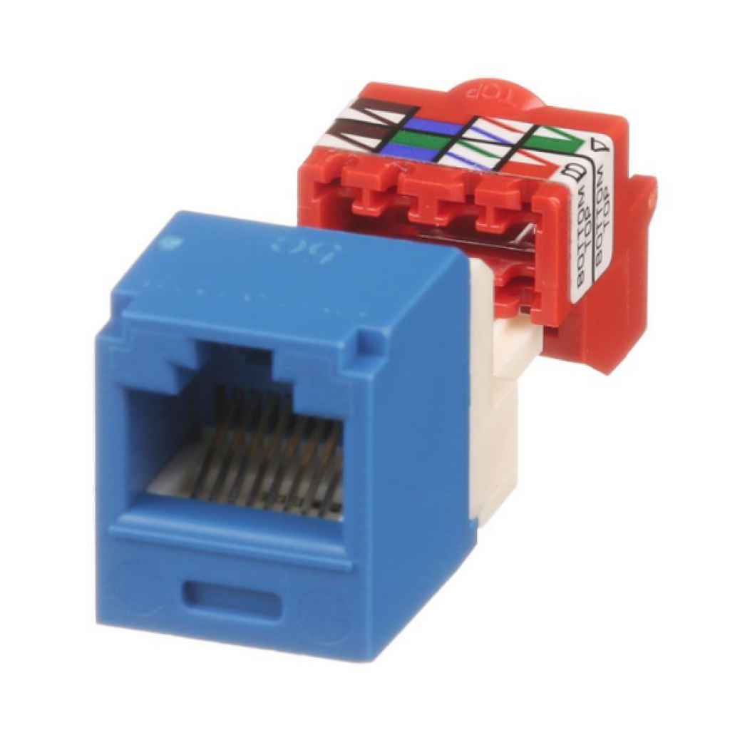 Conector Jack RJ45 Estilo T, Mini-Com, Categoría 5e – Azul – Sieeg ...